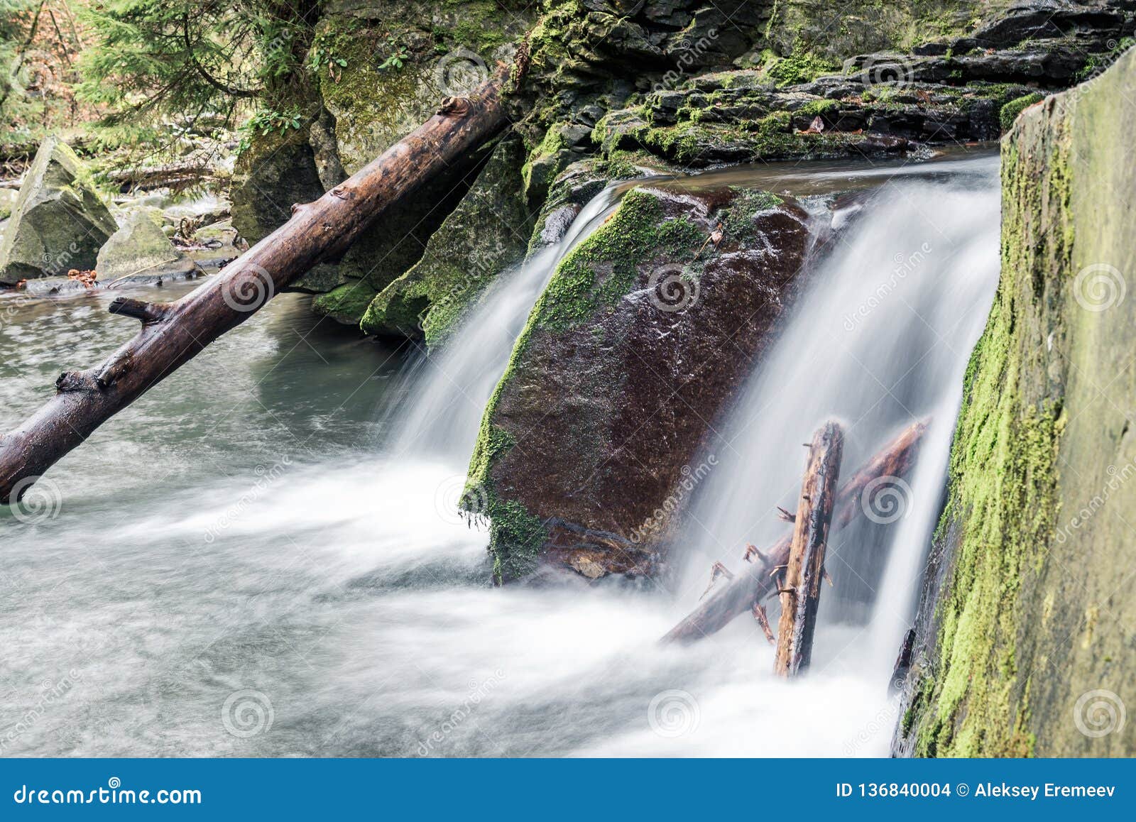 Small Mountain Waterfall on the Rocks Covered with Moss in the Forest ...