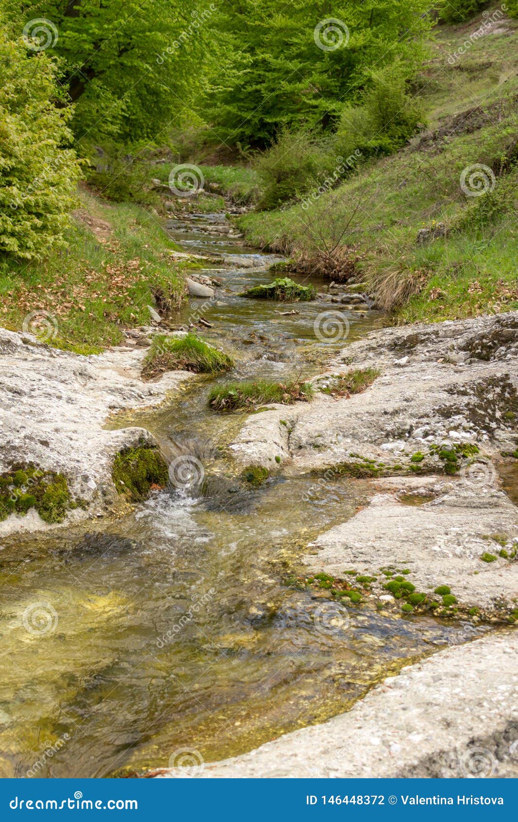 Small Mountain Waterfall on the Rocks Covered with Moss in the Forest ...