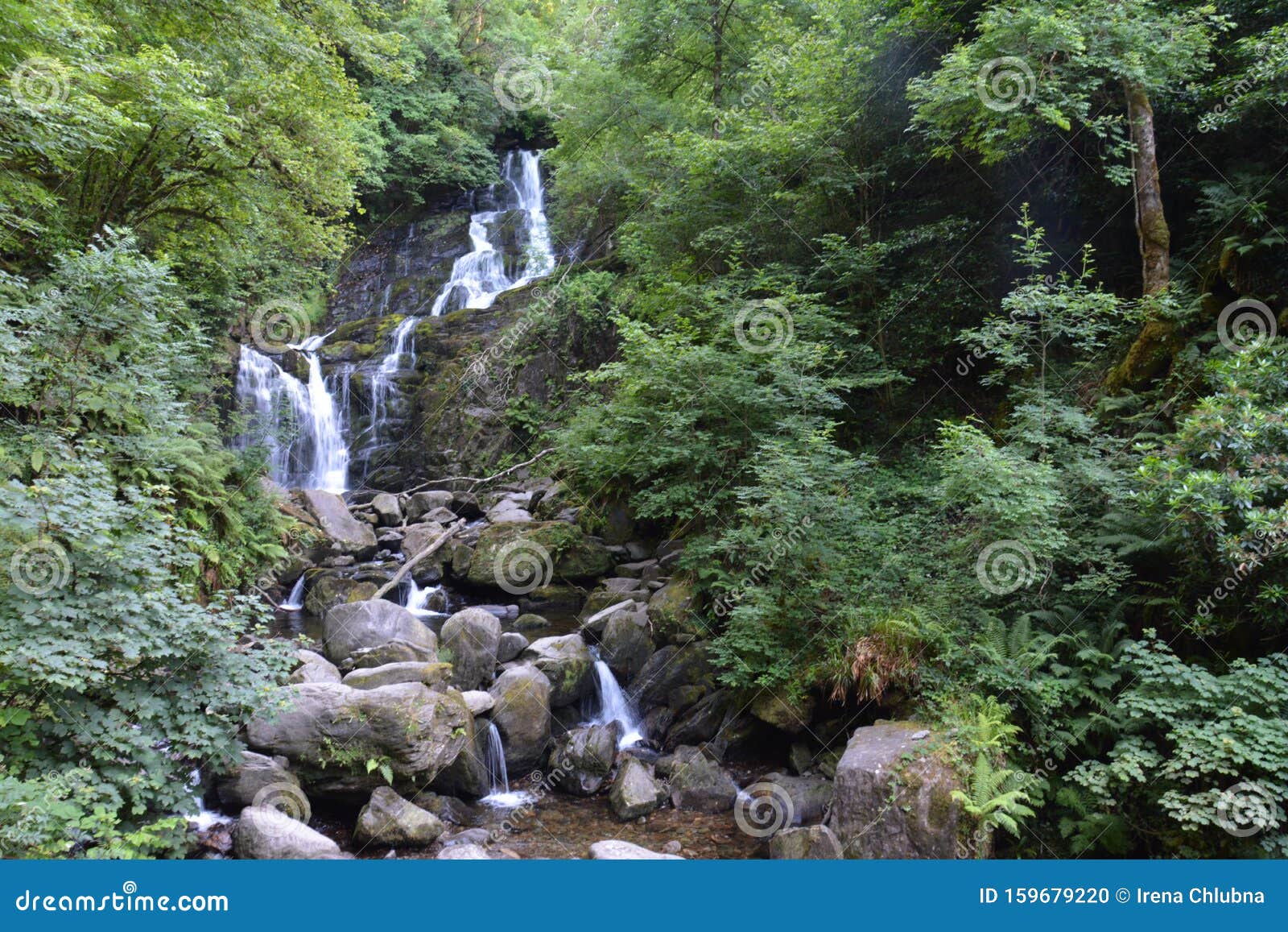 Small Mountain Waterfall on the Rocks Covered with Moss in the Forest ...