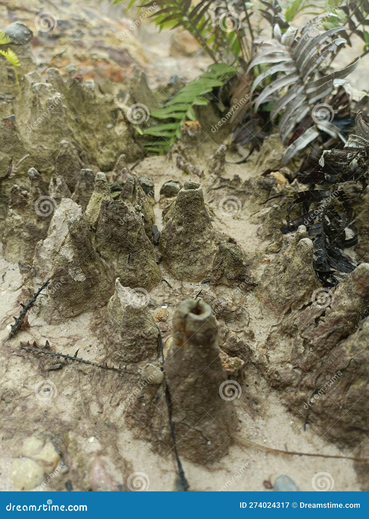 The Dry Soil Turned Into Dust, Soil Texture Background. Stock ...