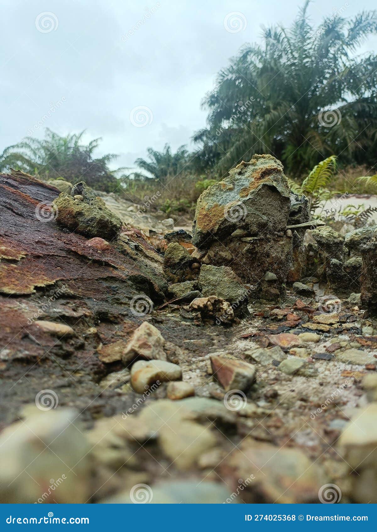 Small Mountains Formed from Soil that Has Turned into Rock Stock Photo ...