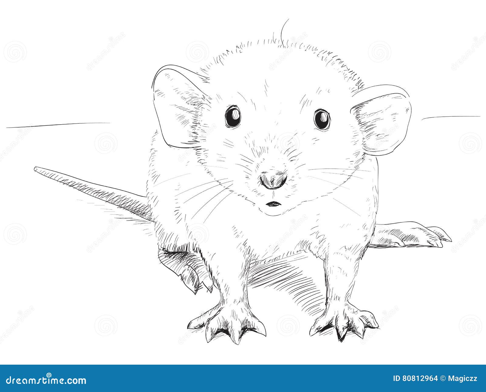 Small Mouse Sniffing And Eating Cheese Royalty-Free Stock Photo ...