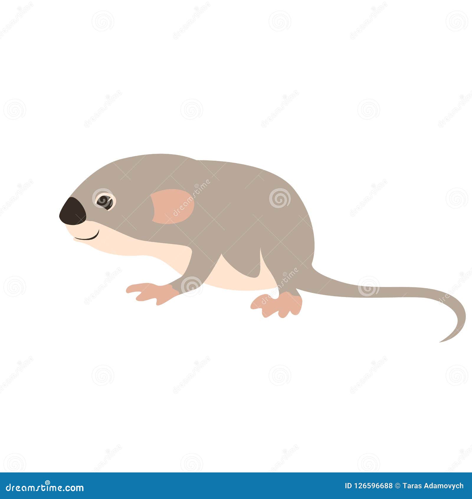 Small Mouse Sniffing And Eating Cheese Royalty-Free Stock Photo ...
