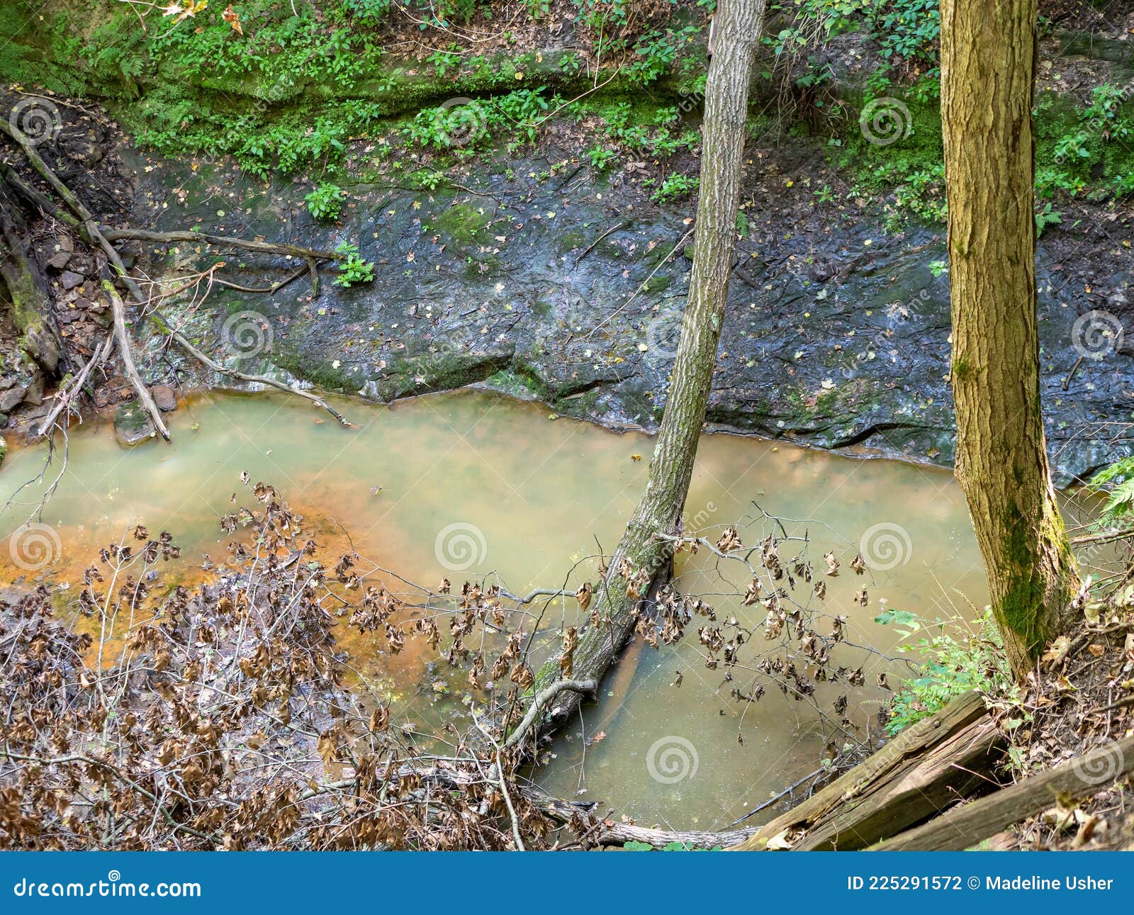 A Small Muddy Track Which Forms Part Of The Angus Coastal Trail With A ...