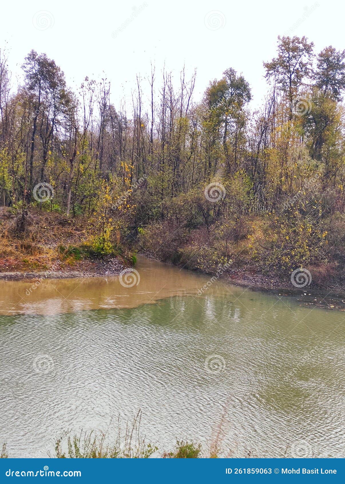 A Small Muddy Stream Enters a River. Stock Image - Image of muddy ...