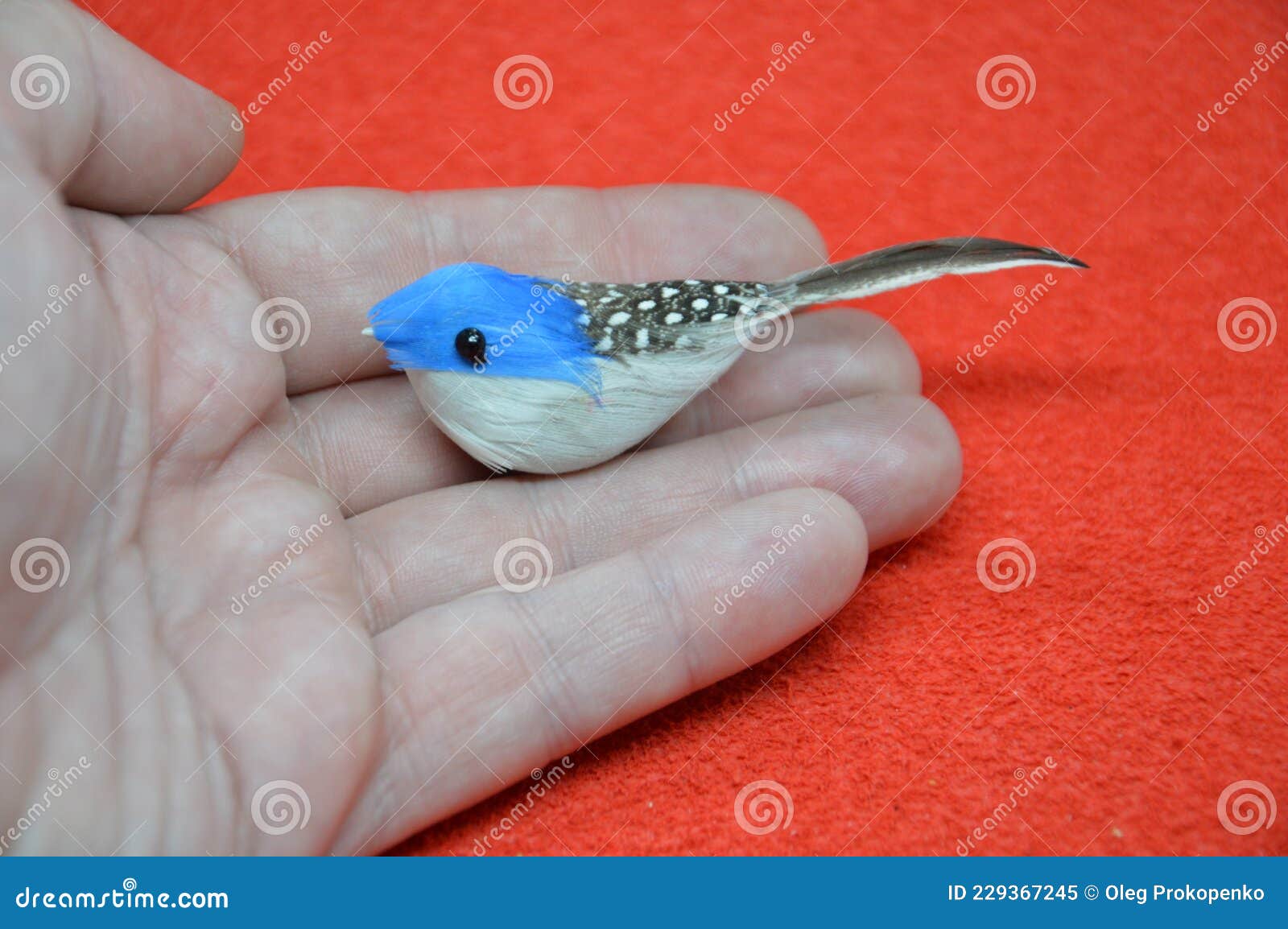 Small Multi-colored Birds on the Palm of a Human Hand Stock Image ...