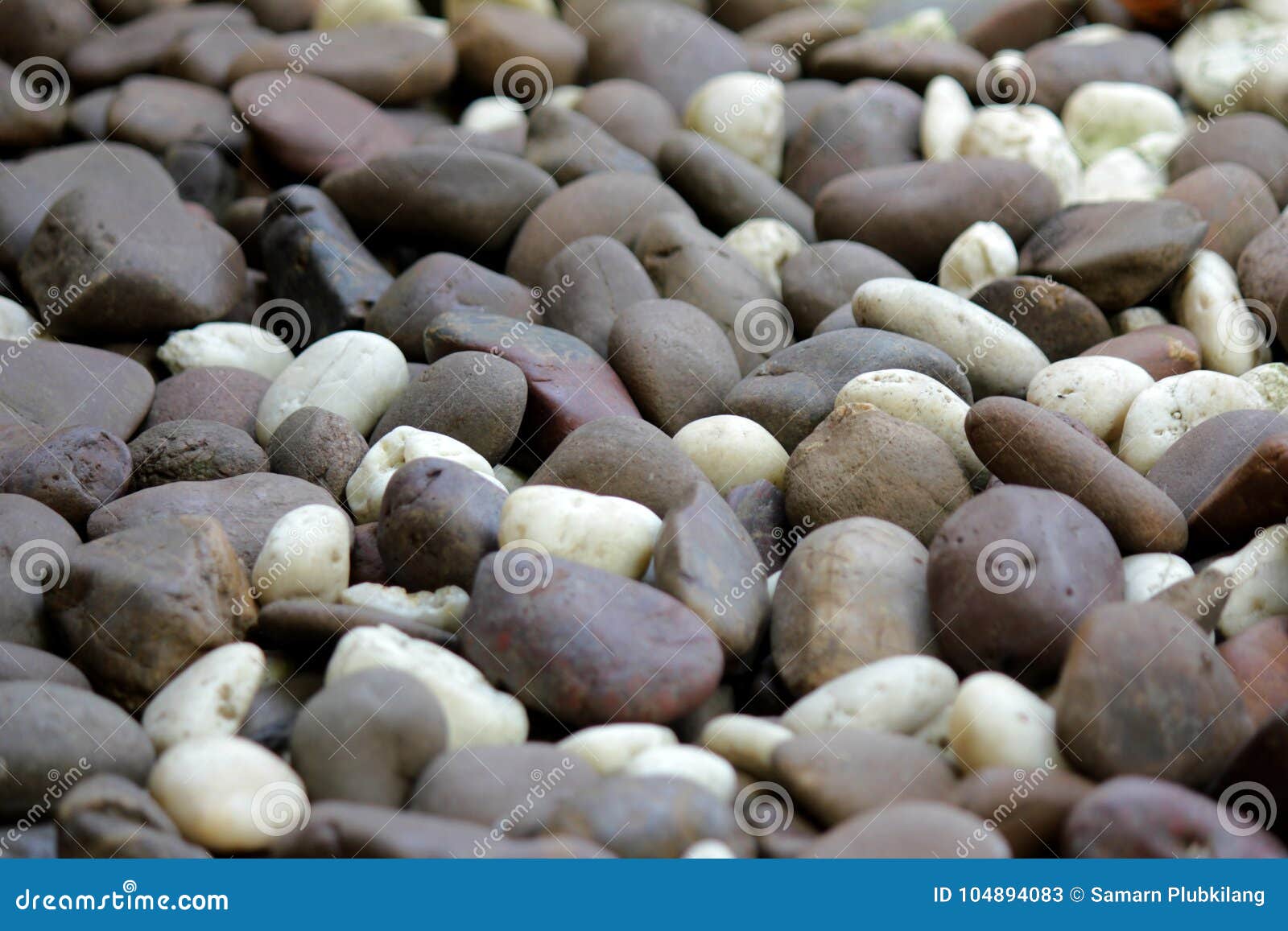 Stones , river rocks. stock image. Image of background - 104894083