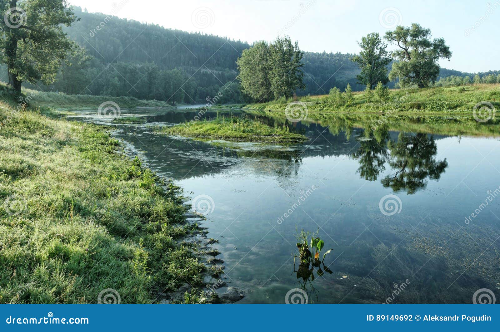 Small Narrow and Shallow River on Background of Forest Slope Stock ...