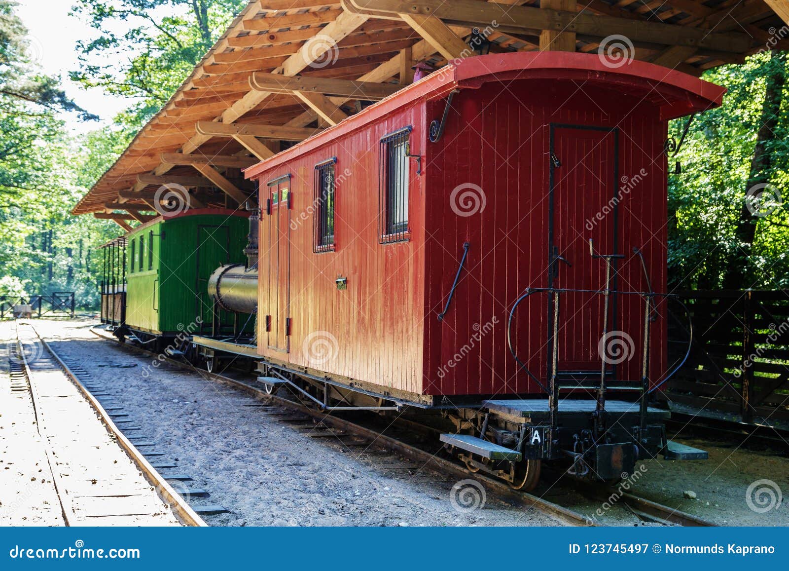 Train drives down the park stock image. Image of railway - 123745497
