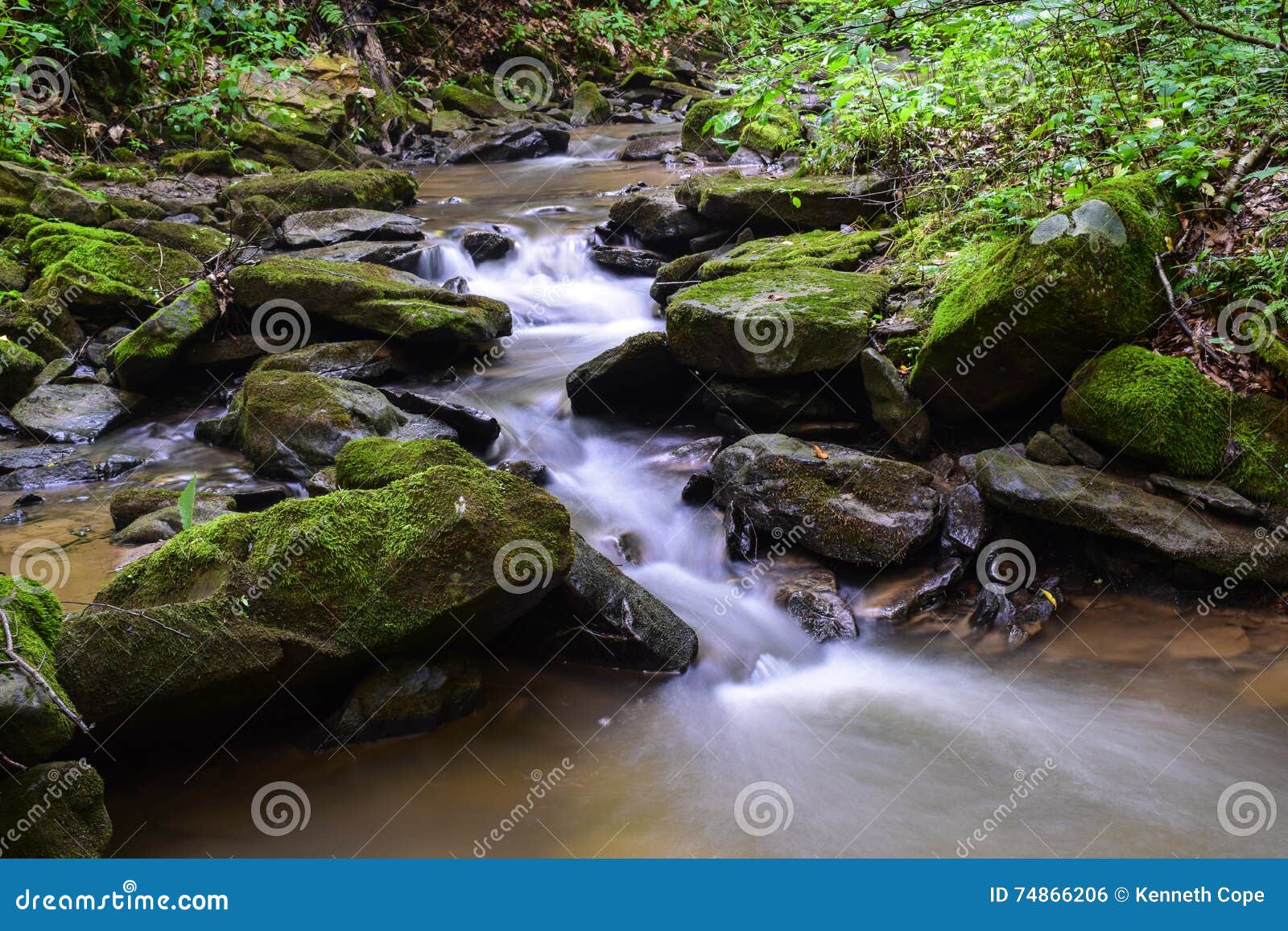 Small Native Trout Stream. stock photo. Image of brook - 74866206