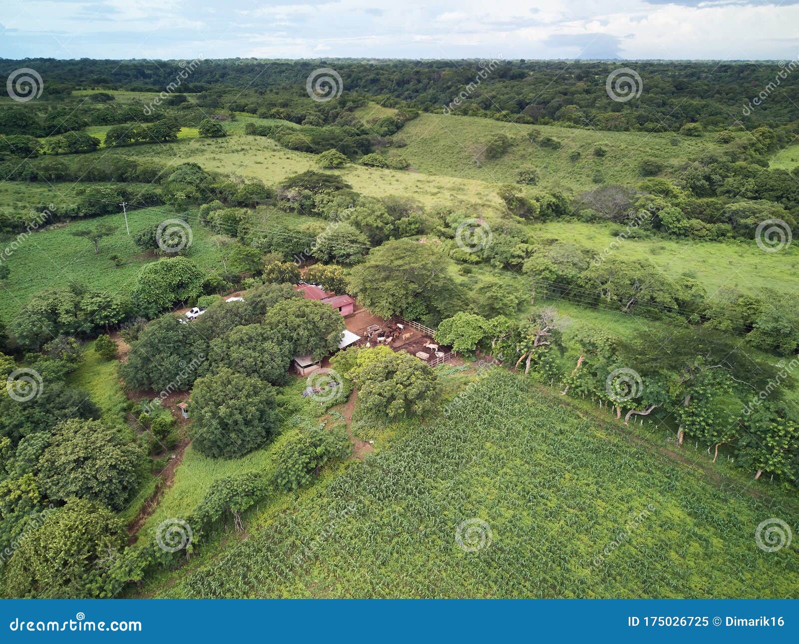 Small natural farm stock image. Image of outdoor, countryside - 175026725