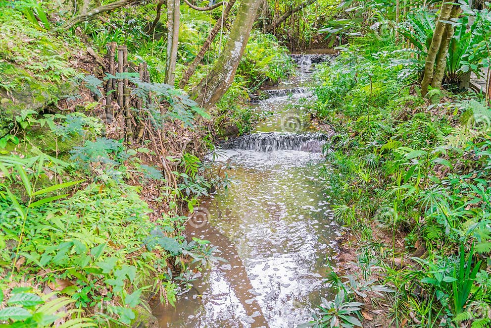 Small Natural Spring Waterfall ( Filtered Image Processed Vintage ...