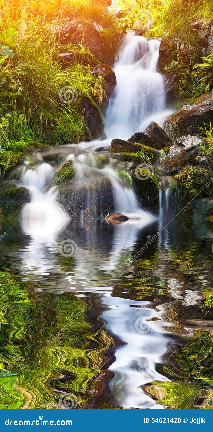 Small Natural Spring Waterfall Stock Photo - Image of green, fresh ...