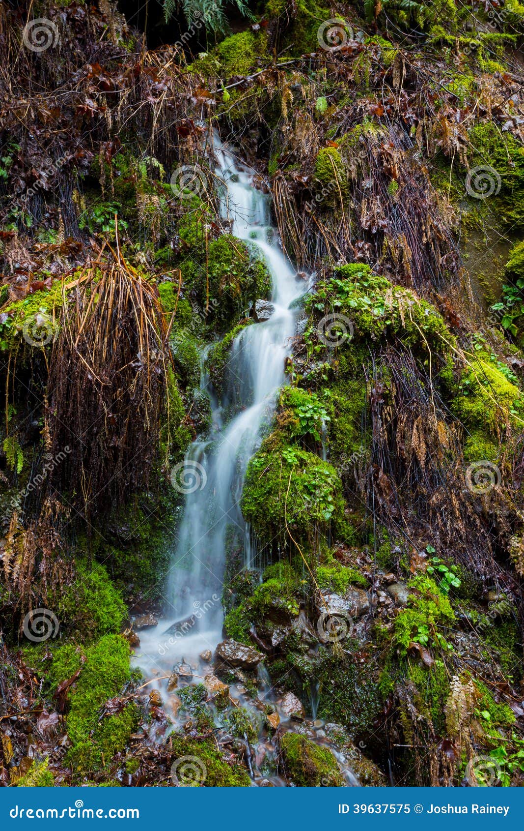 Small Natural Waterfall Cascade Stock Image - Image of small, plants ...