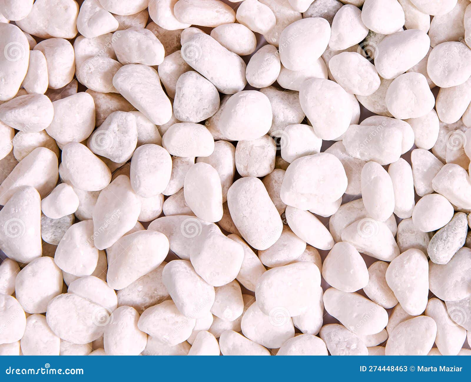 Small Naturally Polished White Rock Pebbles Background Stock Image ...