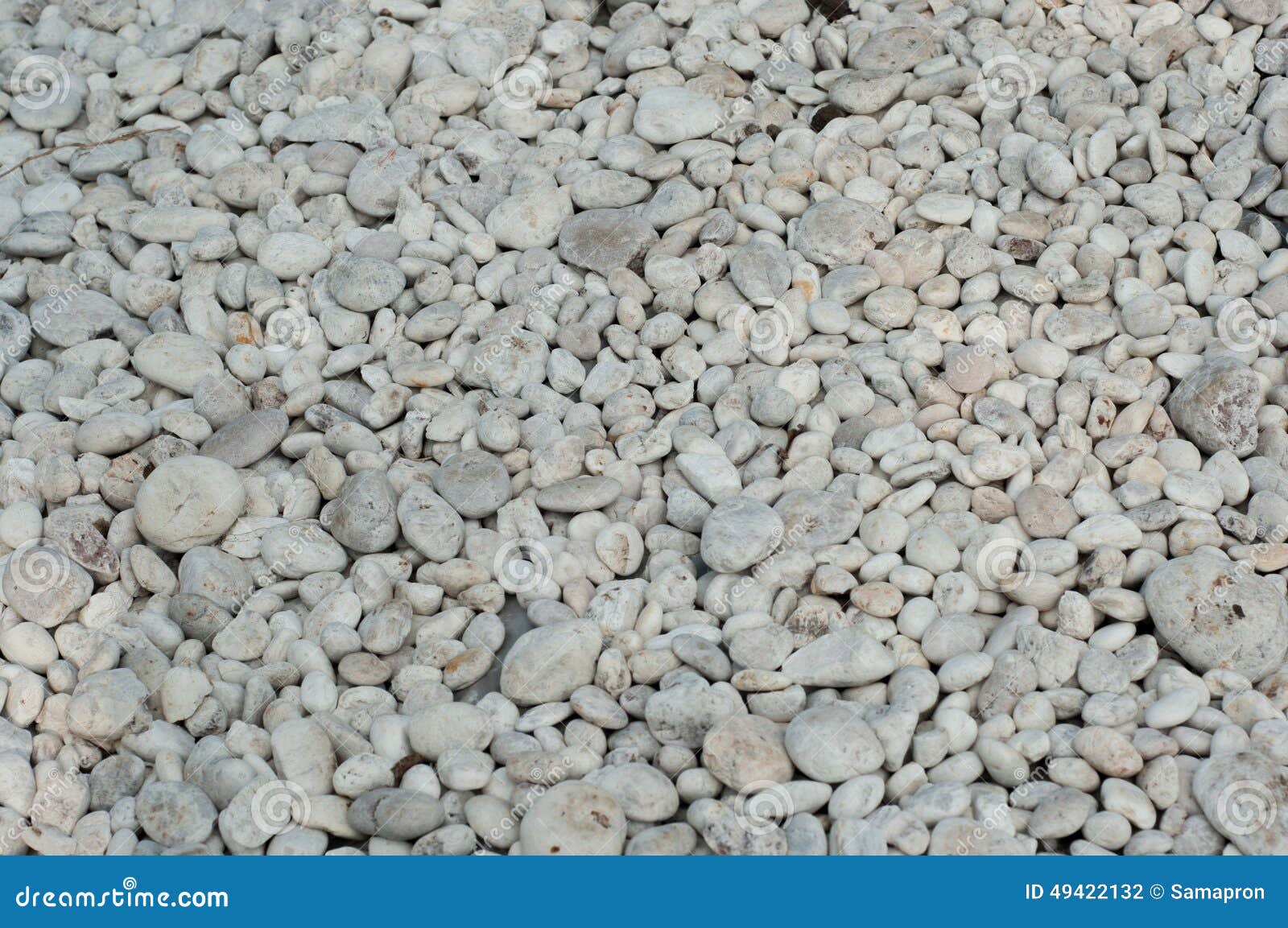 Small Naturally Polished White Rock Stock Photo - Image of closeup ...