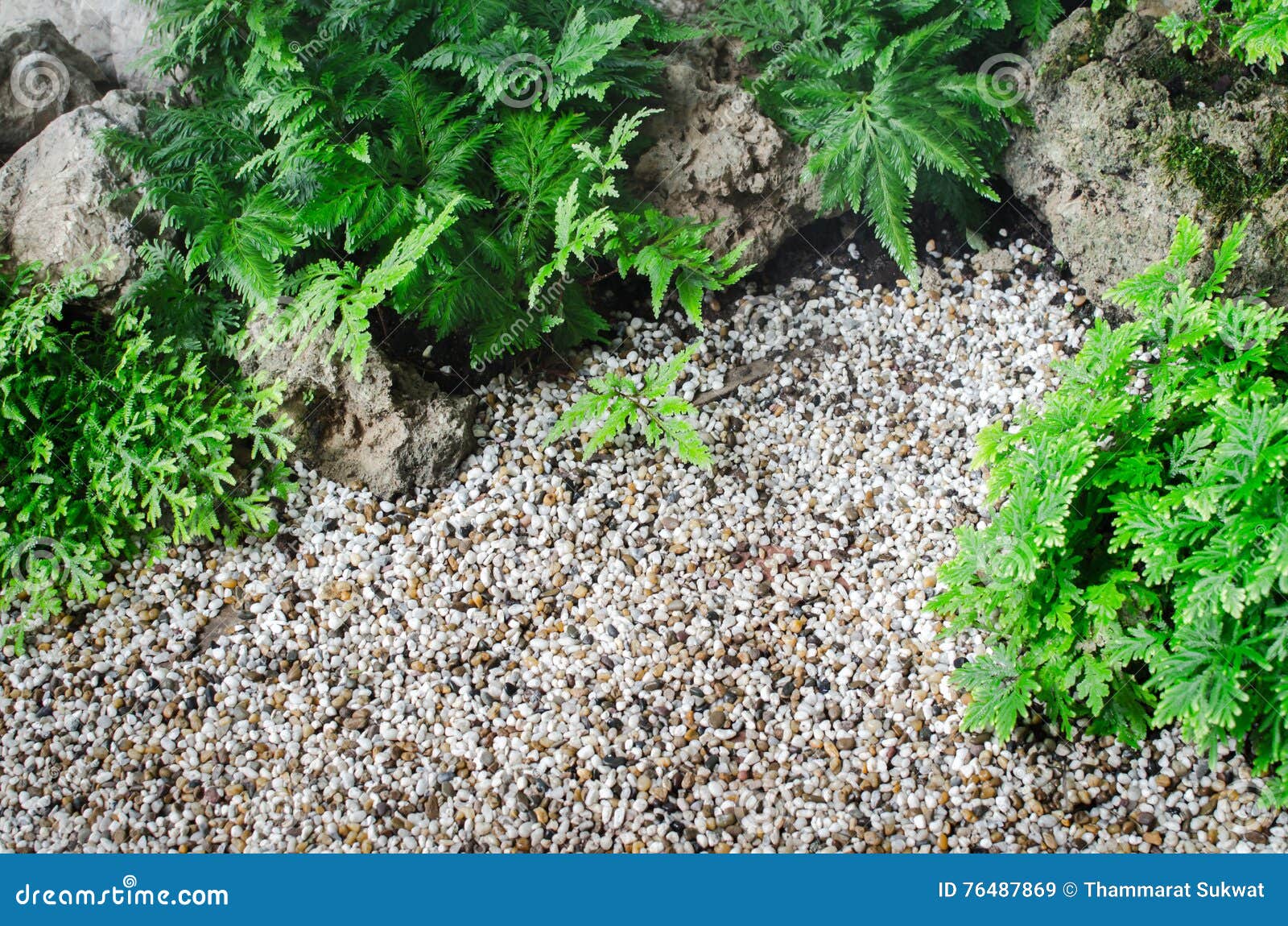 Small nature background stock image. Image of world, green - 76487869