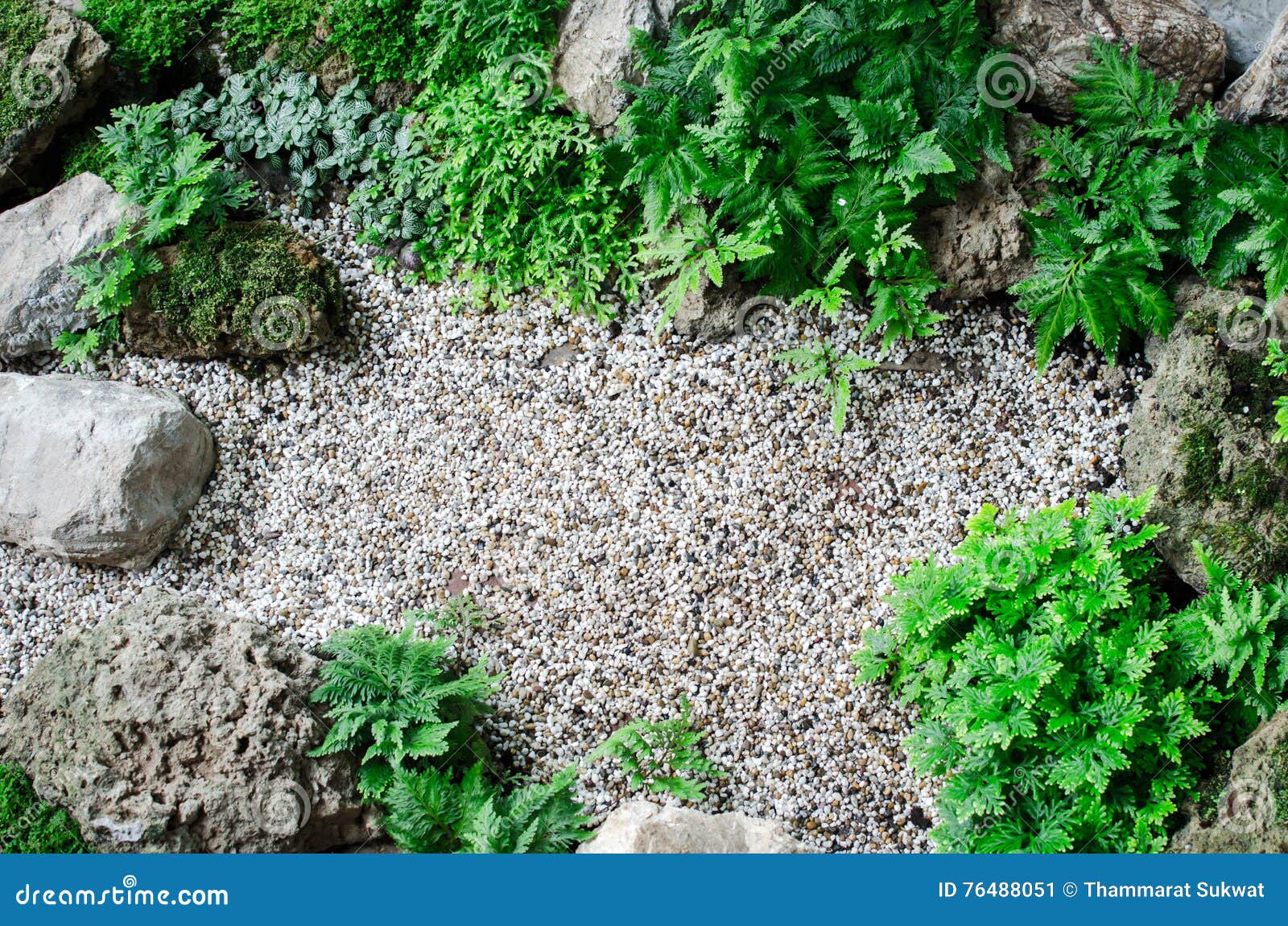 Small nature background stock image. Image of black, leaf - 76488051