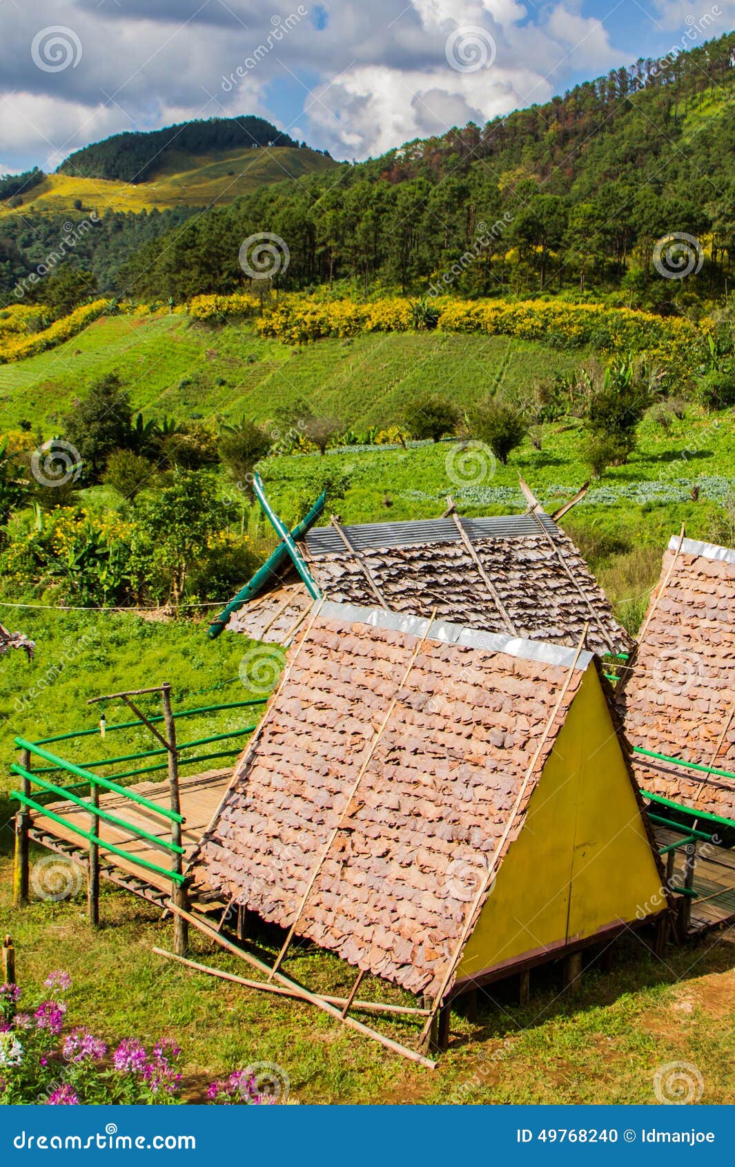Small nature cottages stock photo. Image of field, beauty - 49768240
