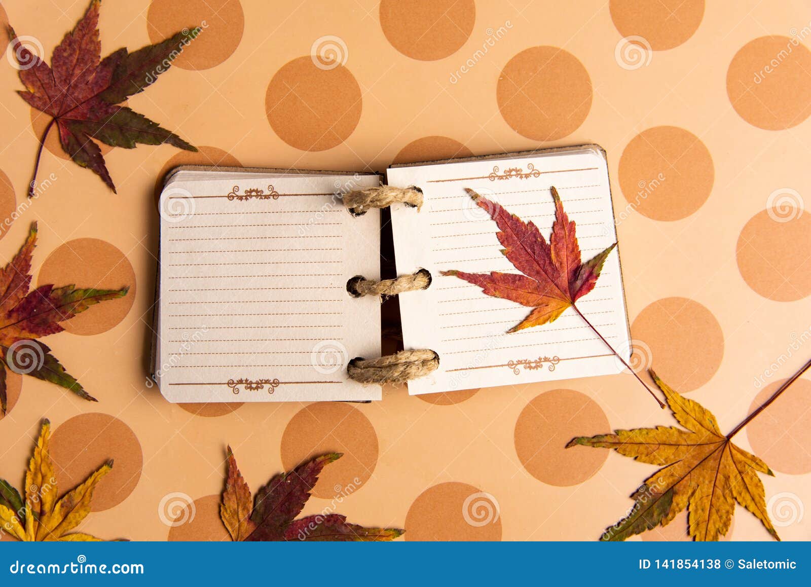 Small Notebook and Autumn Leafs on a Table Stock Photo - Image of empty ...