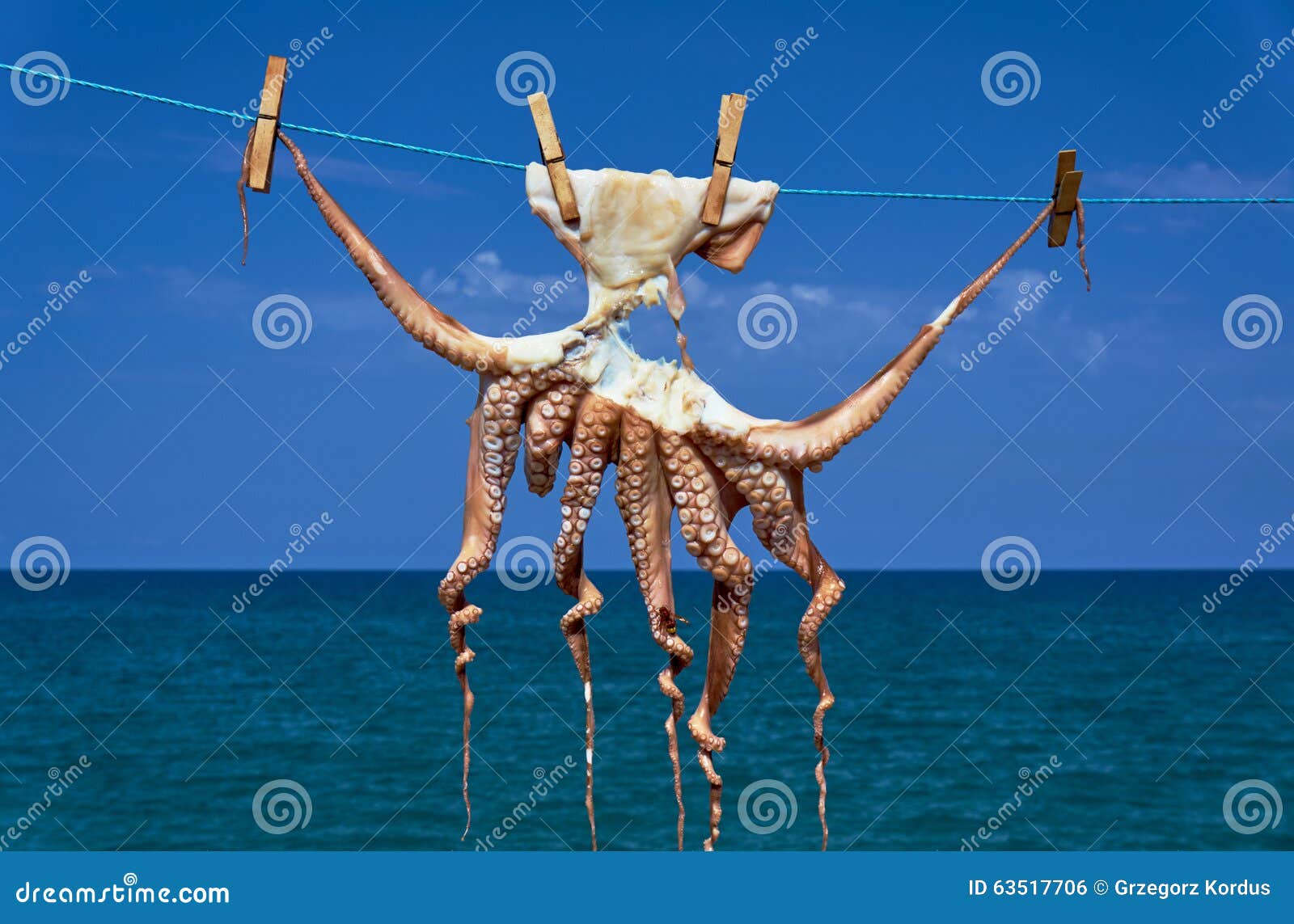 A Small Octopus Drying in the Sun Stock Photo - Image of small, island ...
