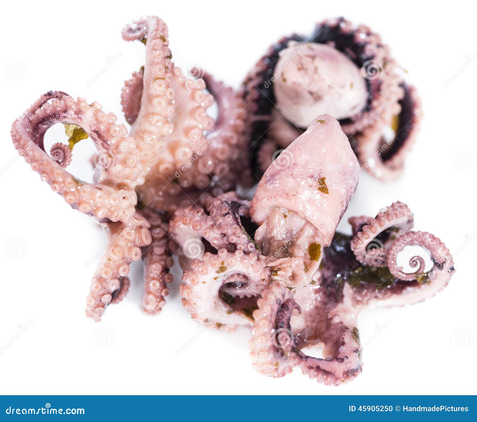 Small Octopus (isolated) stock photo. Image of delicatessen - 45905250