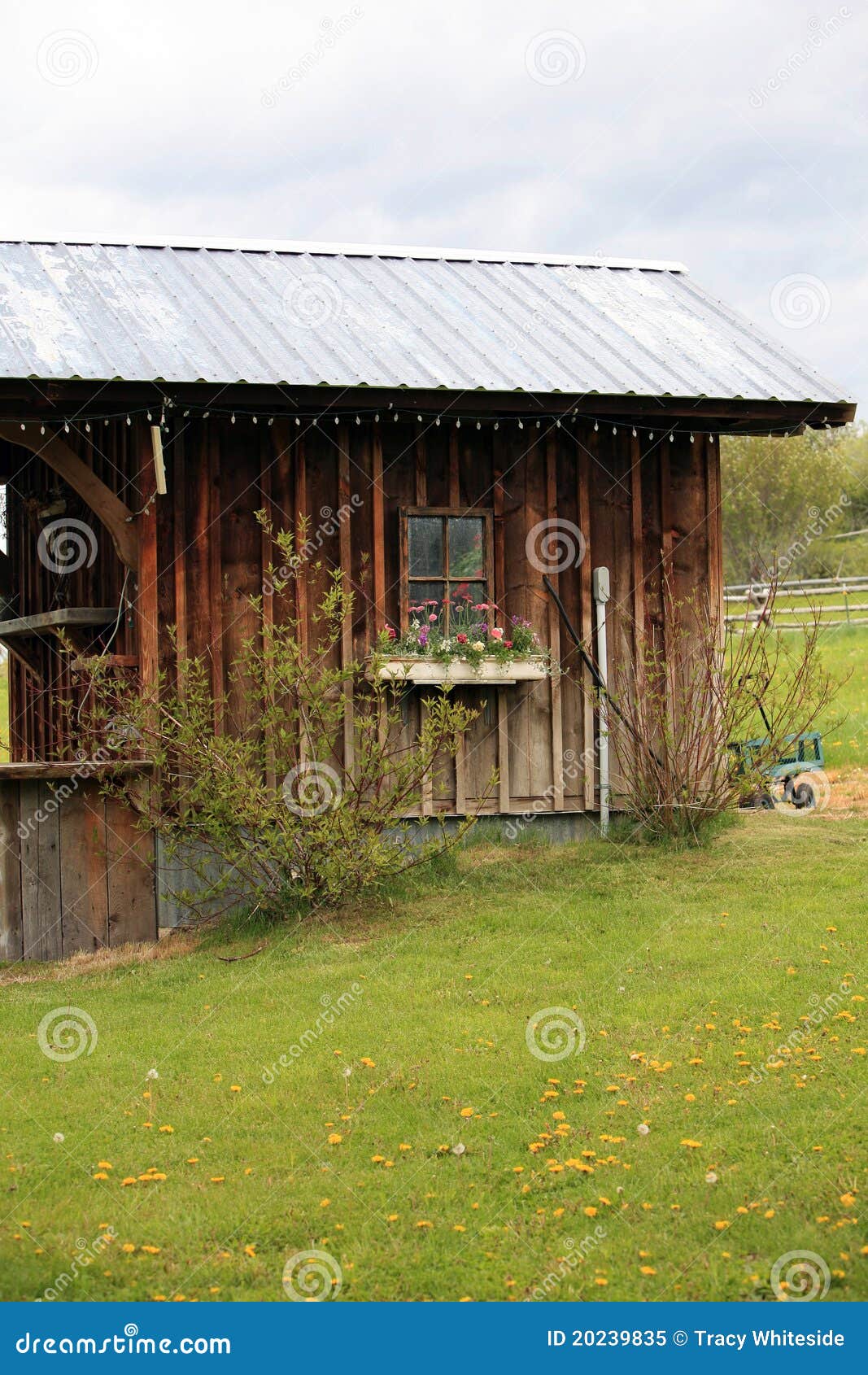 Small old house on ranch stock image. Image of farm, idaho - 20239835