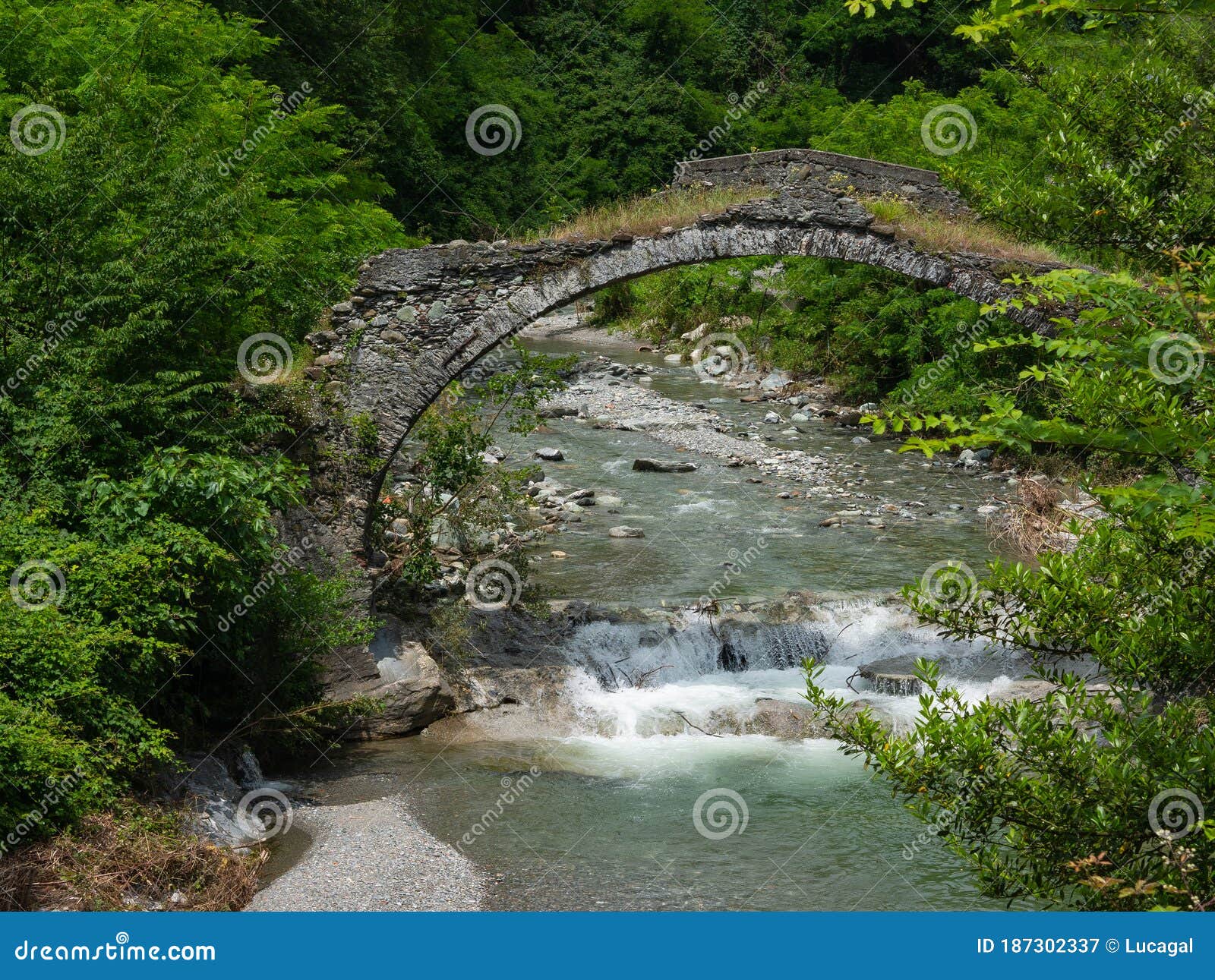 Small Old Stone Bridge in Ruins Stock Image - Image of ruined, tree ...