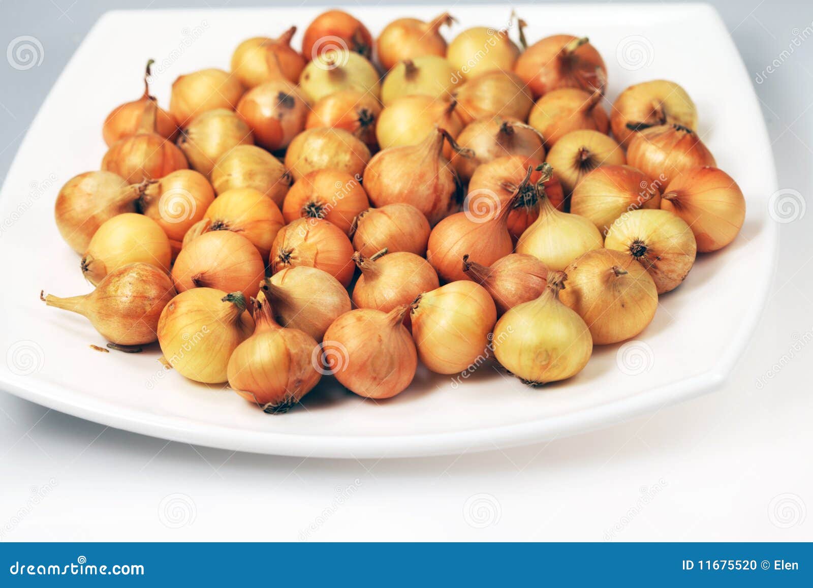 Small onion stock photo. Image of nature, vegetables - 11675520