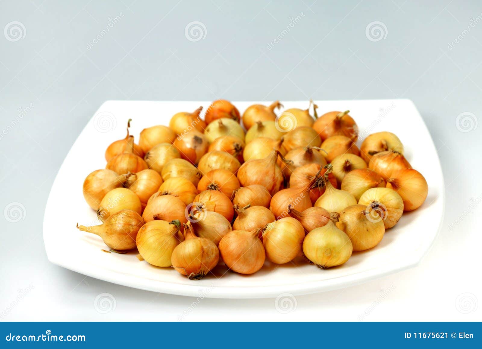 Small onion stock image. Image of sort, small, spices - 11675621