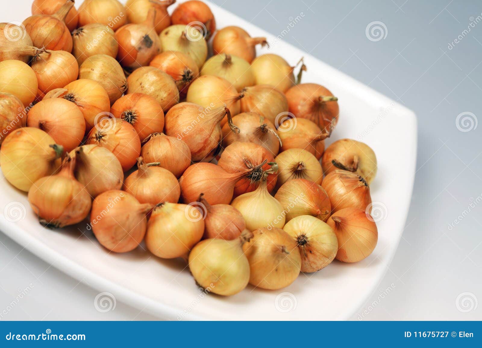 Small onion stock image. Image of food, small, vegetables - 11675727