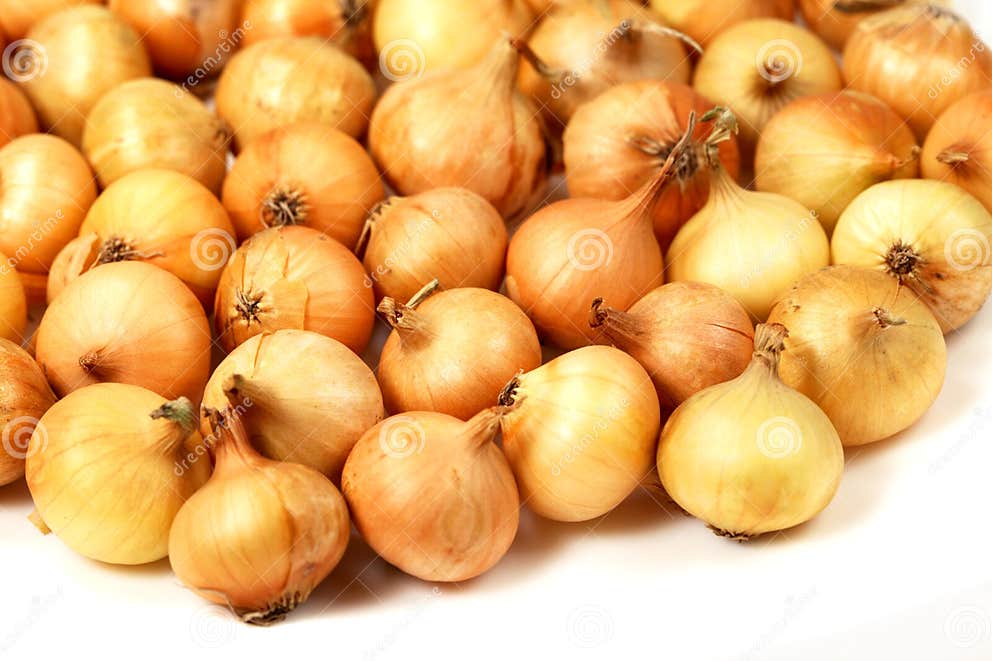 Small onion stock image. Image of meal, seasoning, vegetables - 11675875