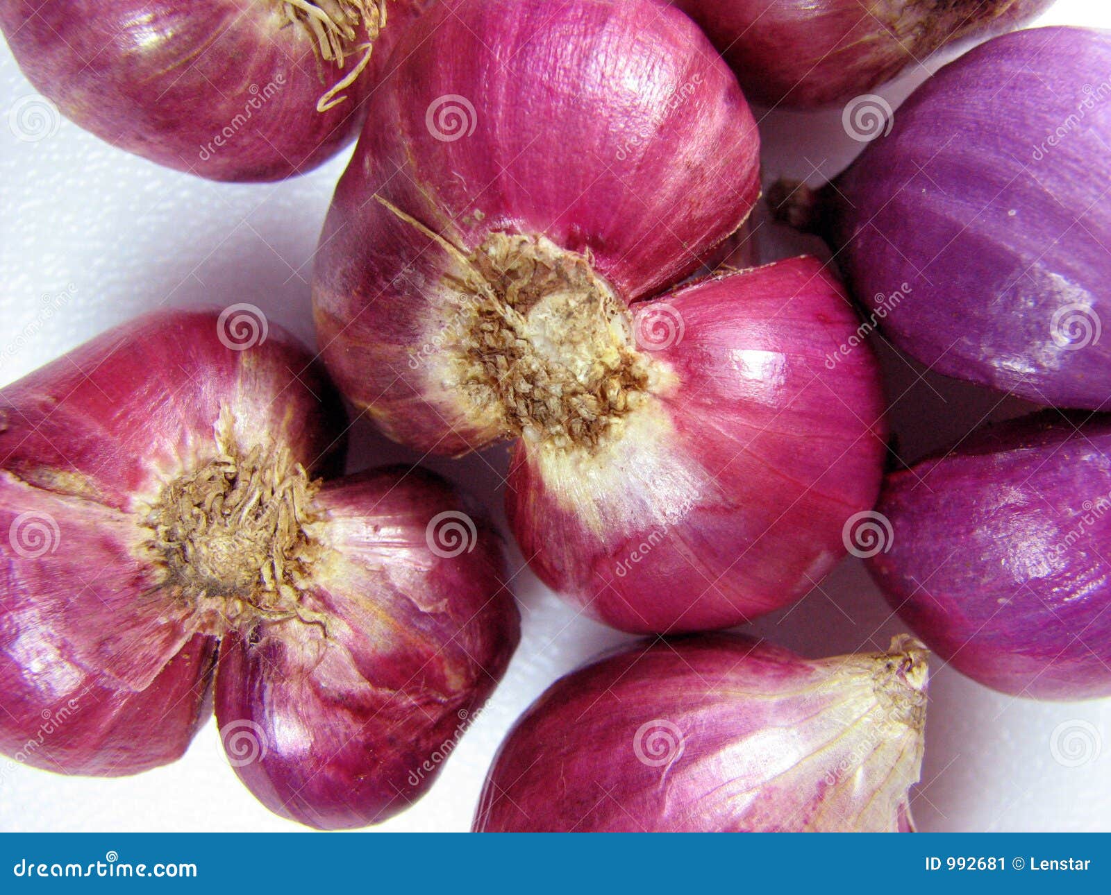 Small Onion stock image. Image of natural, indian, vegetable - 992681