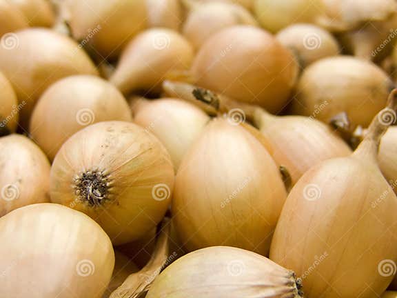Small onions stock image. Image of close, bulb, food - 16357661