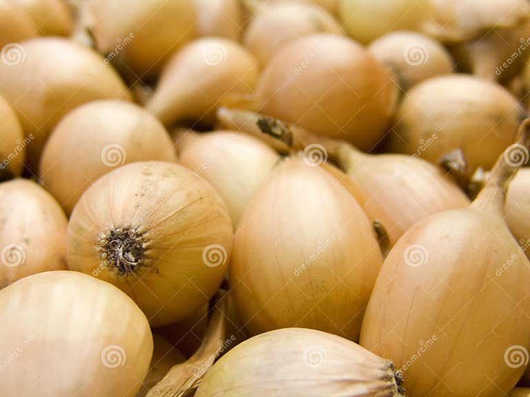 Small onions stock image. Image of close, bulb, food - 16357661