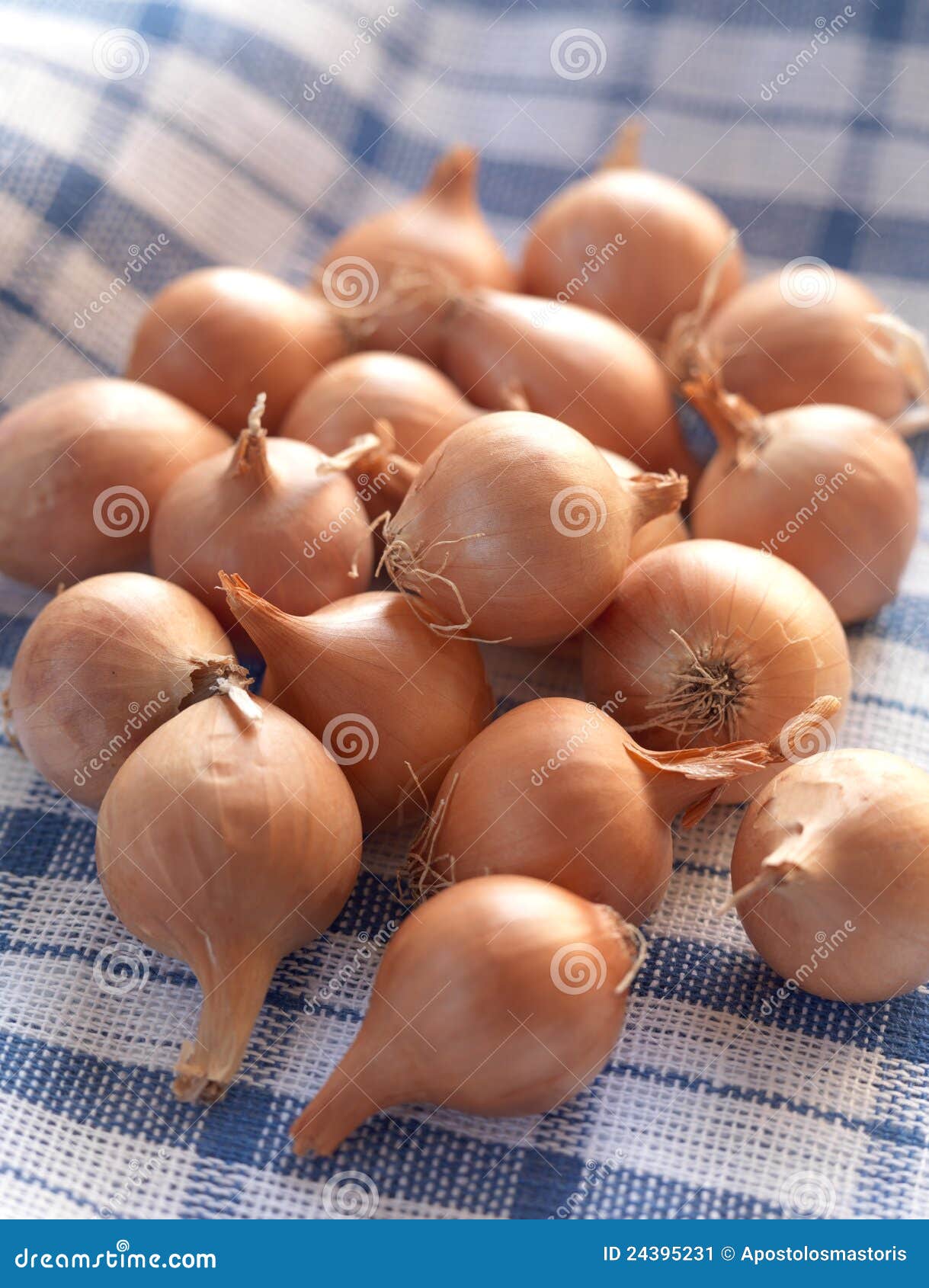 Small onions on a cloth stock image. Image of spicy, crop - 24395231