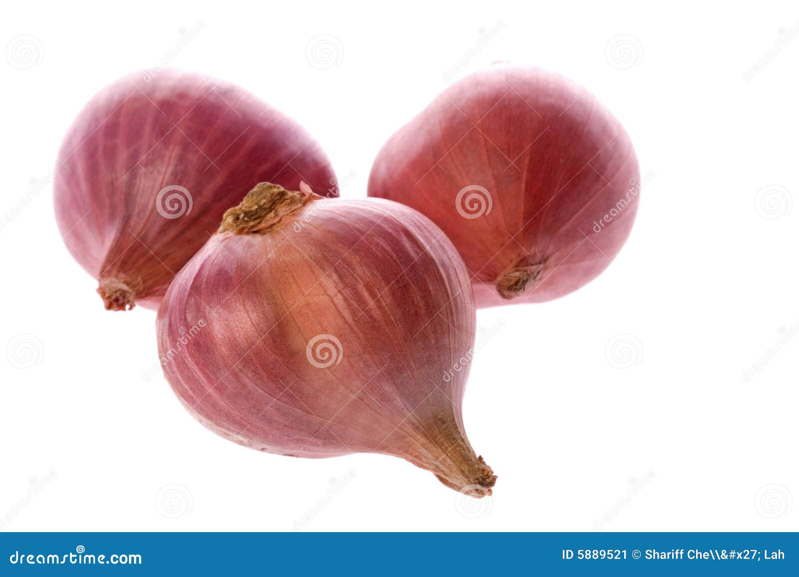 Small Onions Of Four Varieties Of Different Shapes And Colors Royalty ...