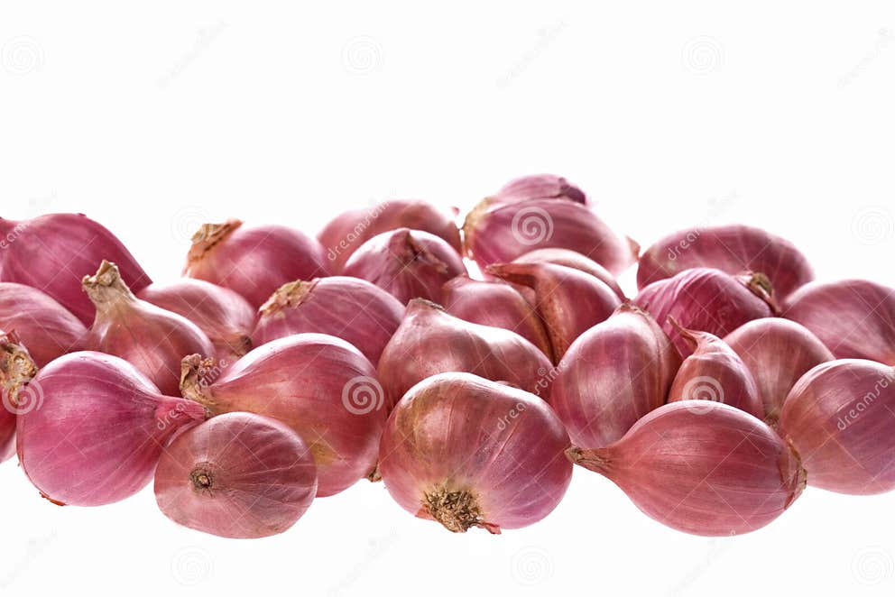 Small Onions Isolated stock image. Image of nutrition - 5889537