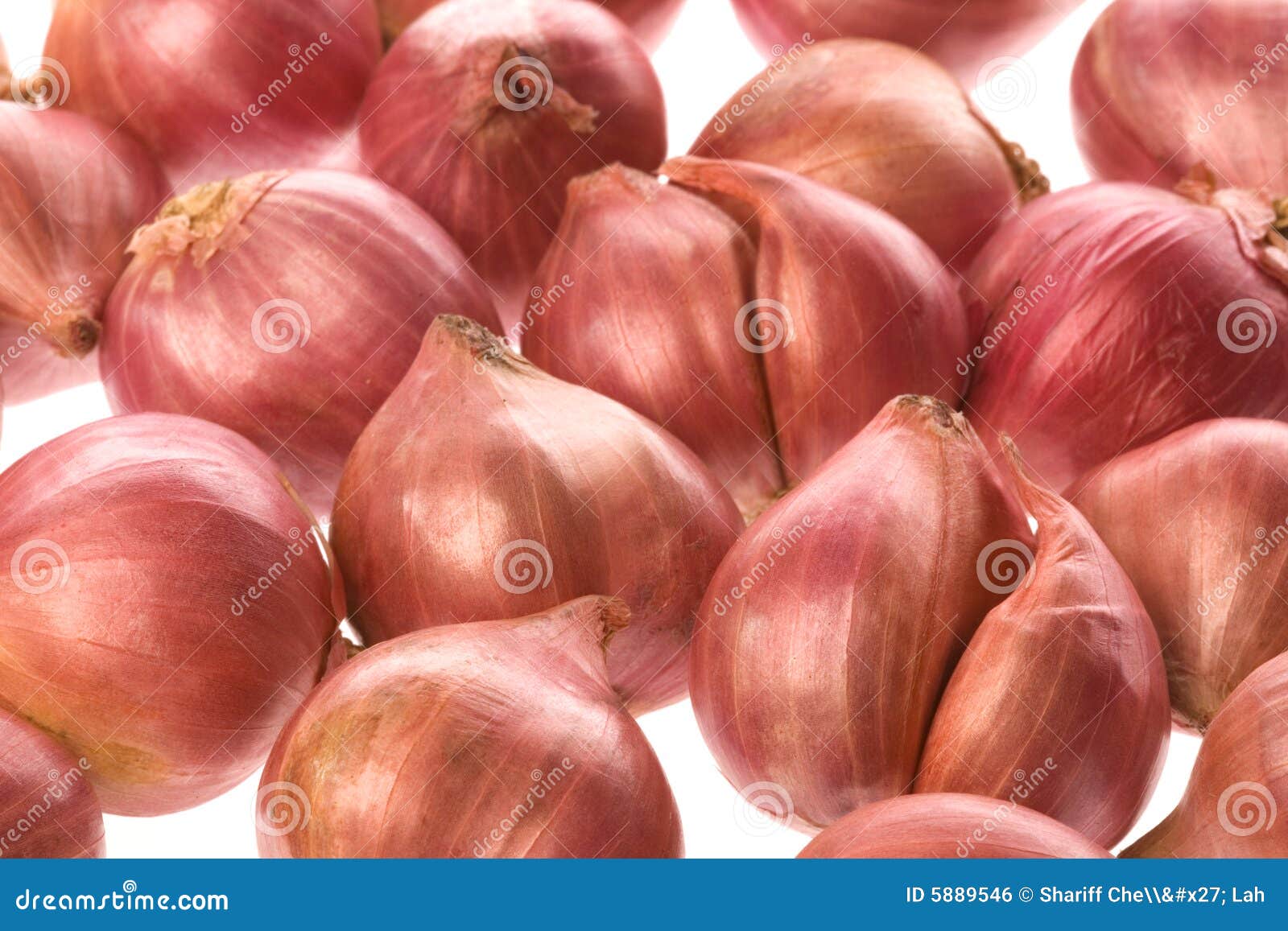 Small Onions Isolated stock photo. Image of spice, ingredient - 5889546