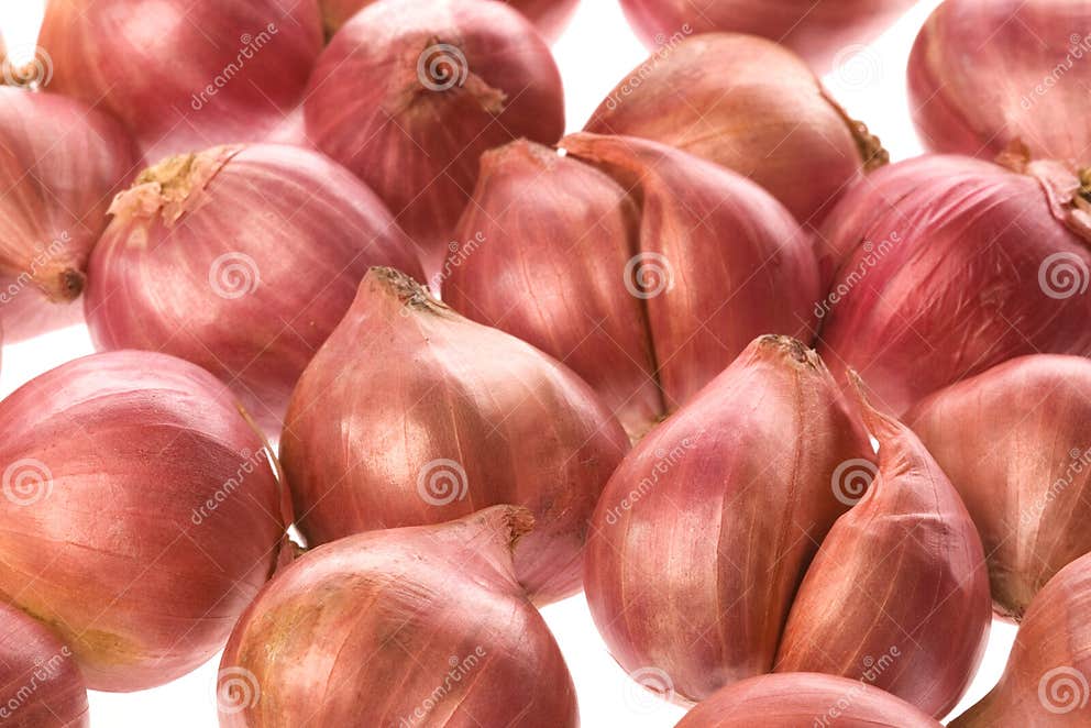 Small Onions Isolated stock photo. Image of spice, ingredient - 5889546