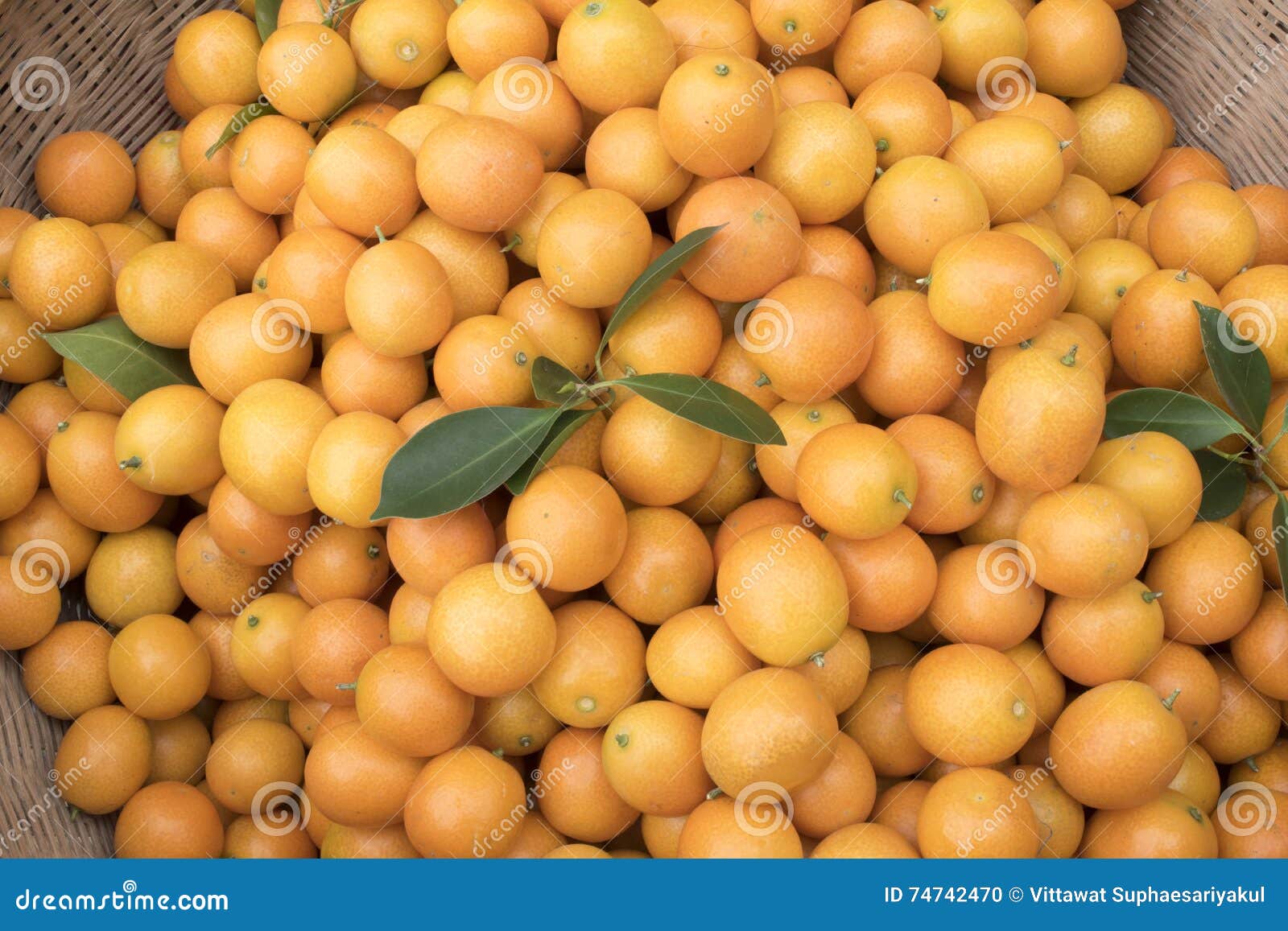 Small orange stock photo. Image of sweet, china, healthy - 74742470