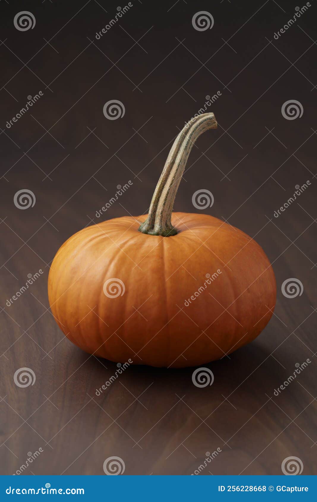 Small Orange Pumpkin on Walnut Wood Table with Copy Space Stock Photo ...