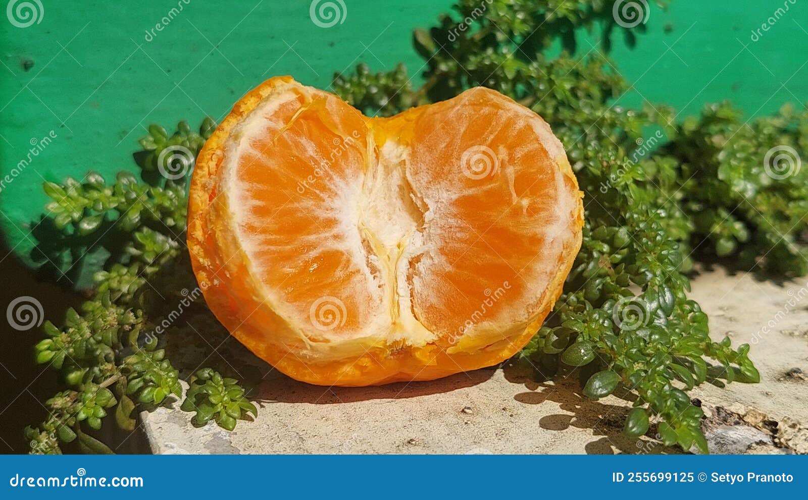Small Oranges that Look Very Refreshing Plus a Little Sun Stock Image ...