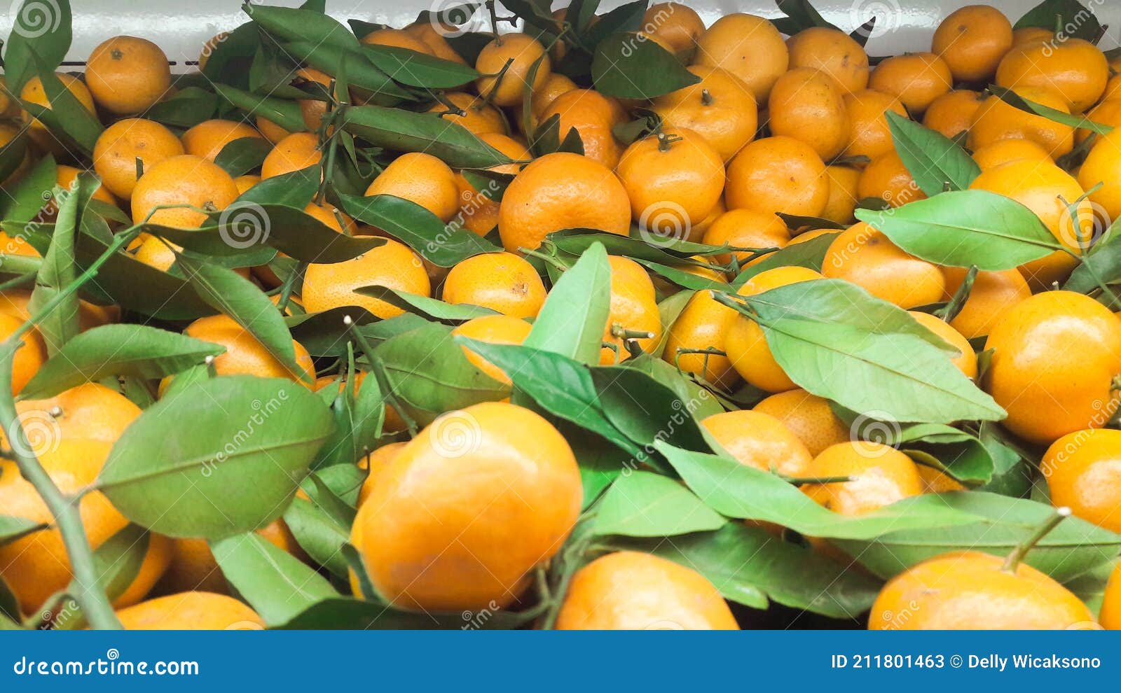 Small Oranges stock image. Image of yellow, produce - 211801463