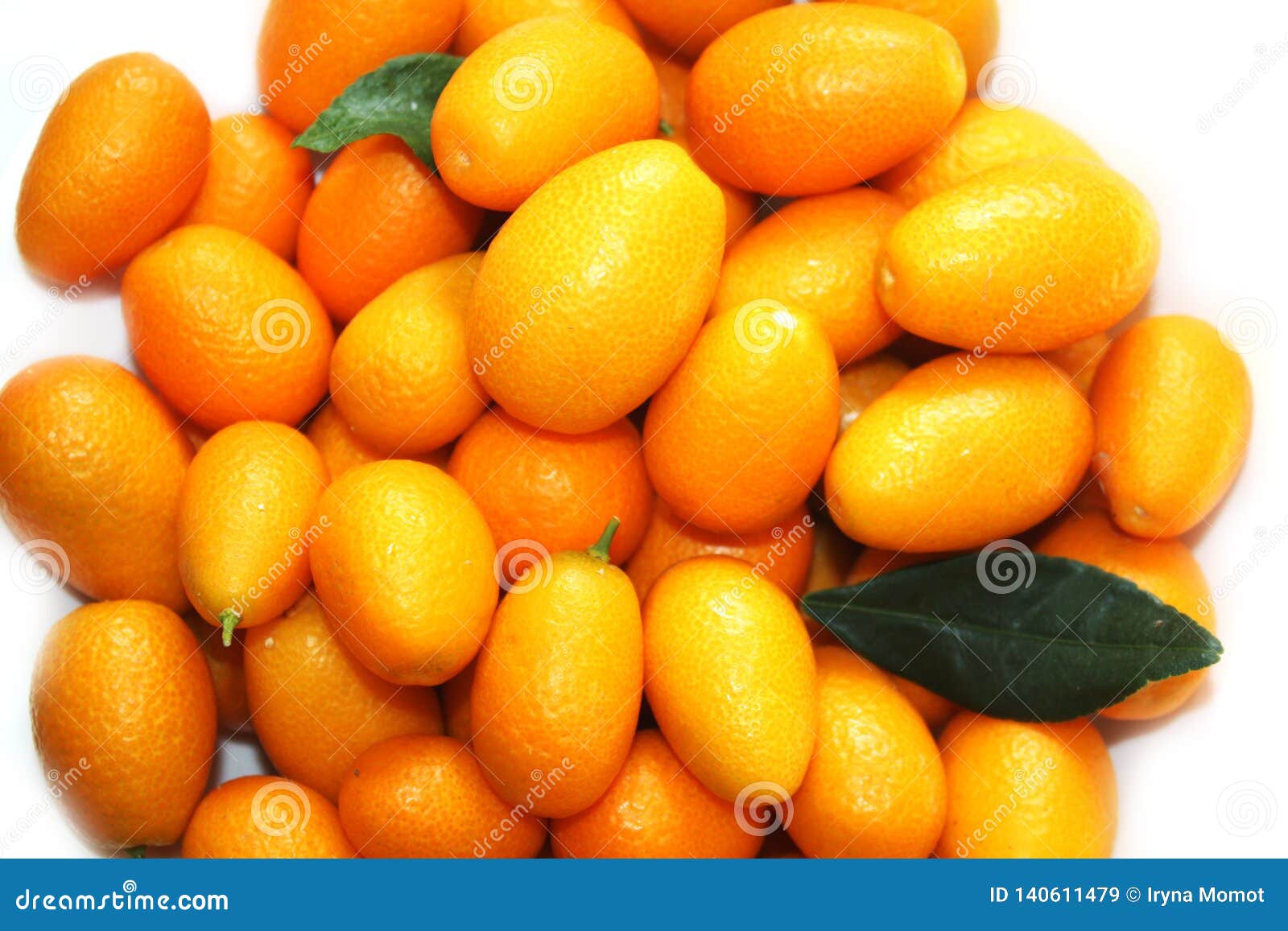 Small Oranges on the White Background. Stock Image - Image of ...