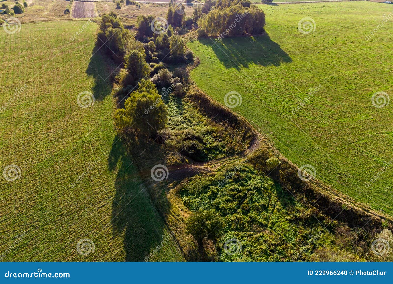 Small Overgrown Ravine between Agricultural Fields Stock Photo - Image ...