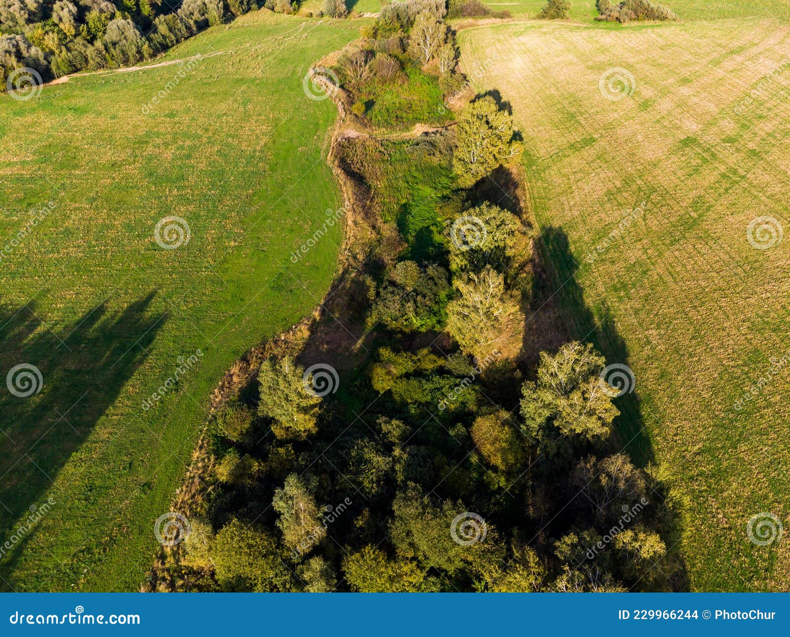 Small Overgrown Ravine between Agricultural Fields Stock Photo - Image ...