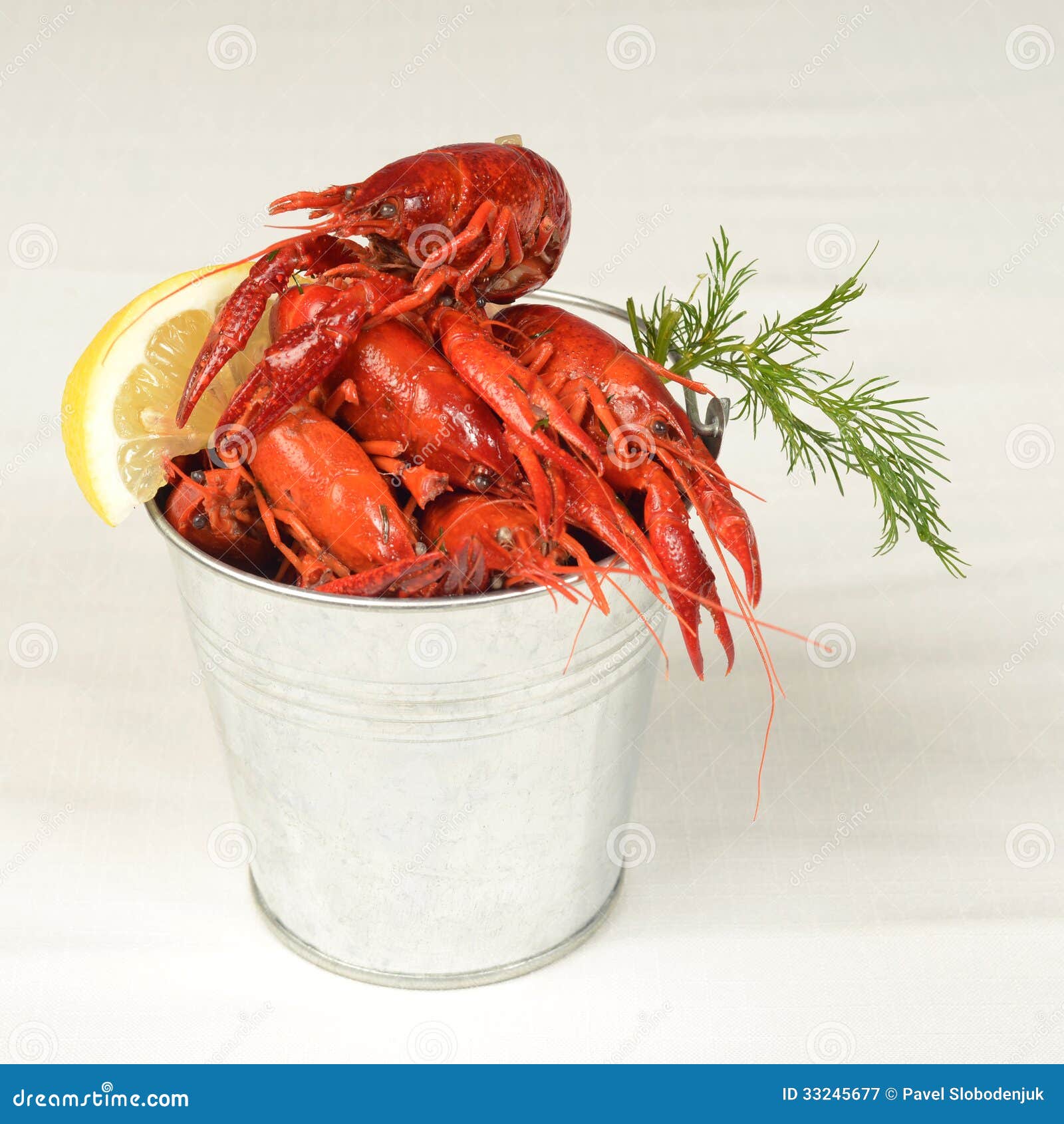 Small Pail Full of River Lobsters Stock Image - Image of seafood ...