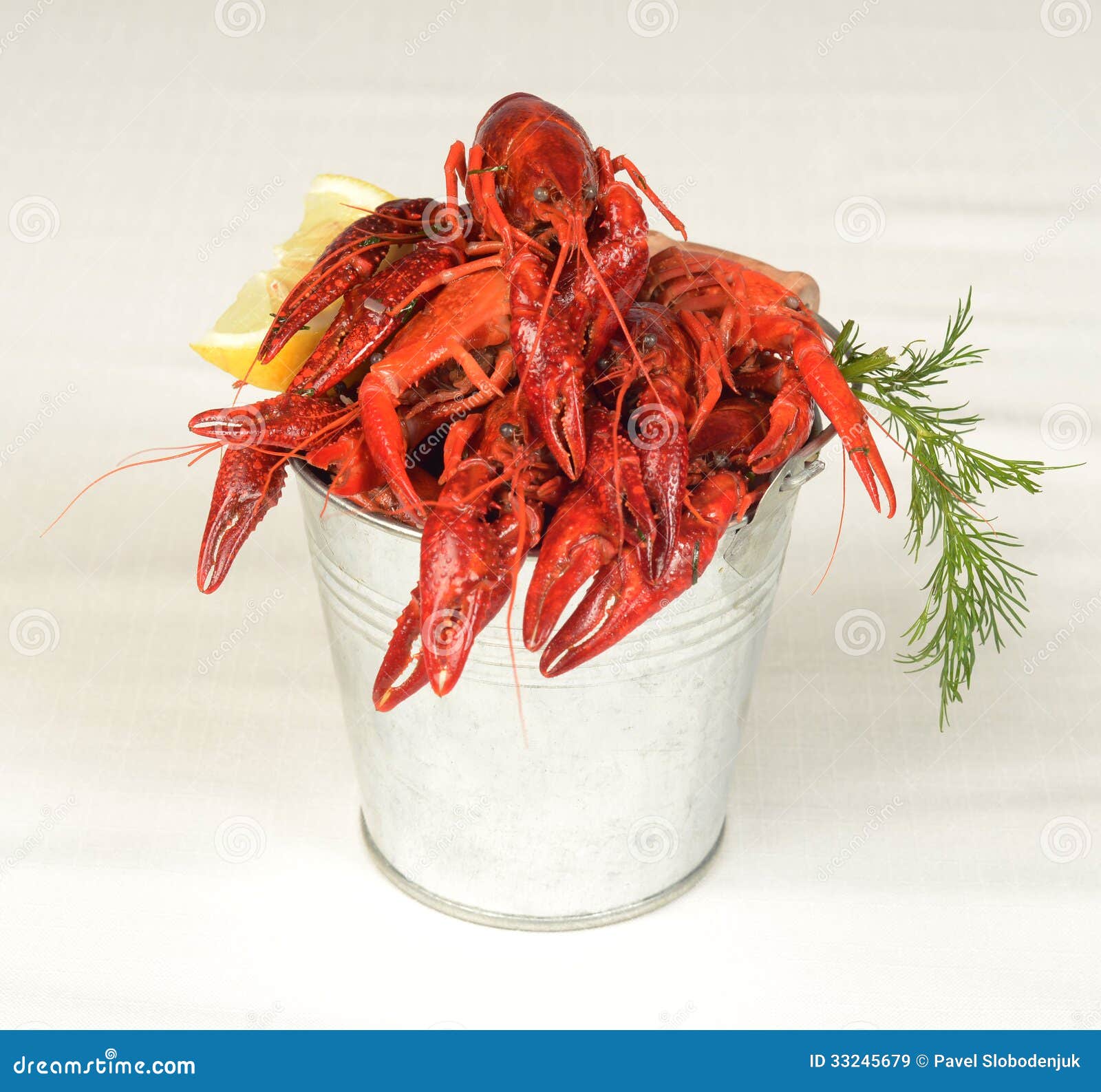 Small Pail Full of Small River Lobsters Stock Image - Image of cooked ...