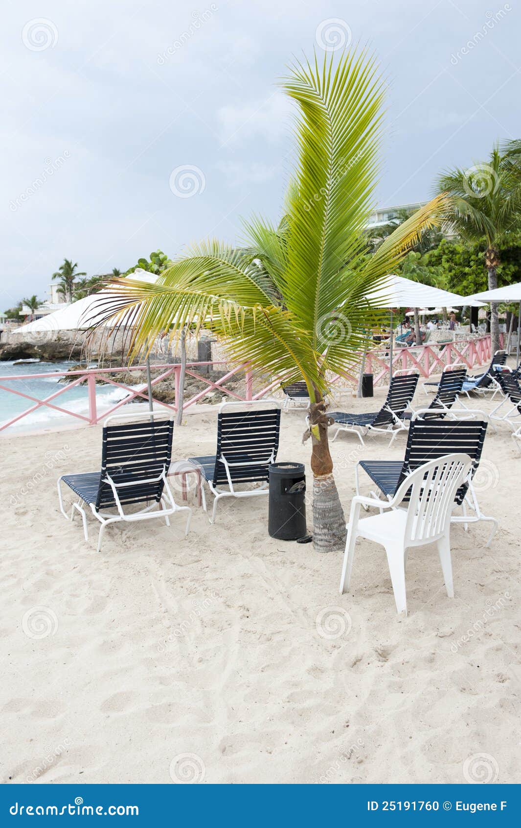 Beach Palm Tree Chairs Images - Download 5,553 Royalty Free Photos - Page 3
